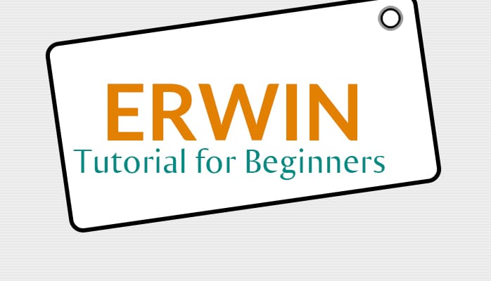 Erwin Tutorial for Beginners