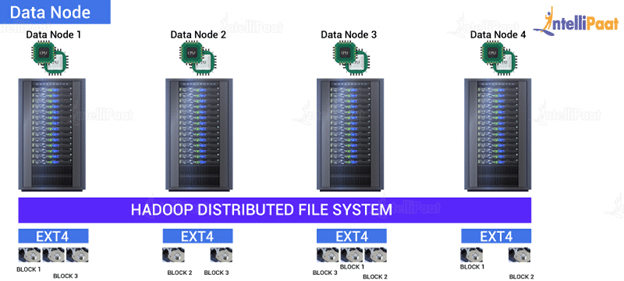 What is HDFS in Hadoop? | Intellipaat