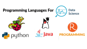 Most-Wanted Data Science Skills for 2024 - Intellipaat Blog