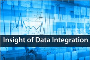 Issues And Their Solutions In The Process Of Data Integration