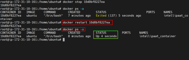Top 55+ Docker Interview Questions and Answers for 2025