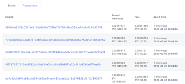 What is a Blockchain Explorer: How to Use It and Benefits