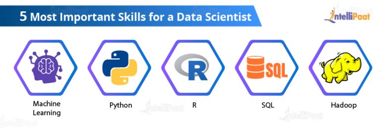 Data Scientist Roles and Responsibilities – Intellipaat