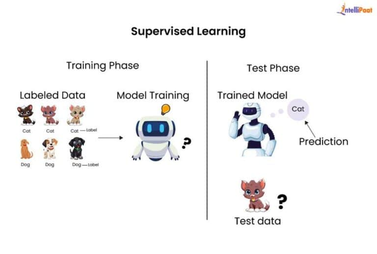 Supervised vs Unsupervised vs Reinforcement Learning | Intellipaat