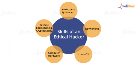 How to Become an Ethical Hacker in 2025? - Intellipaat
