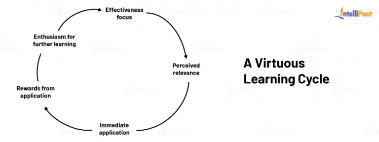 What is Training Process? - Learn about Training Cycle with Diagram