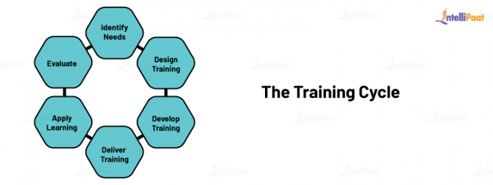 What is Training Process? - Learn about Training Cycle with Diagram