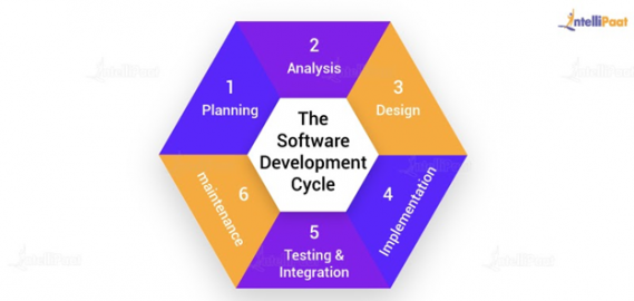 How to Become a Software Tester: Skills, Roles, and Career Path