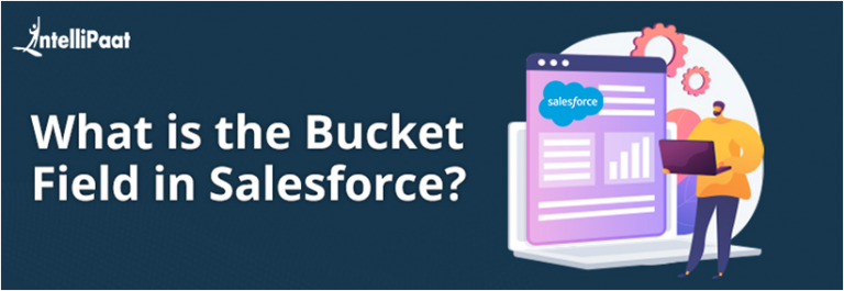 What is Bucket Field in Salesforce? Create and Use a Bucket Field