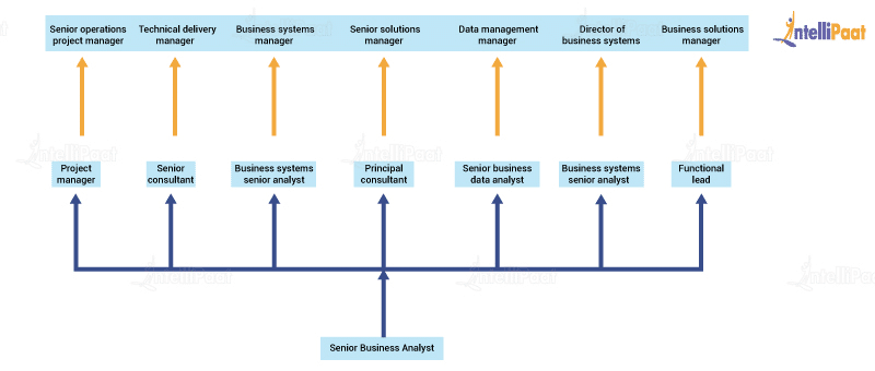 Senior Business Analyst Job Description - Key Roles & Salary