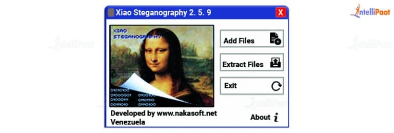 Steganography - What is, Techniques, & Examples (Updated)