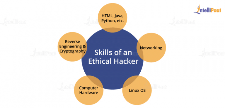 Learn Ethical Hacking from Scratch - A Complete Guide for 2025