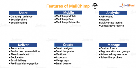 10 Best Digital Marketing Project Ideas for Beginners / Students [2025]