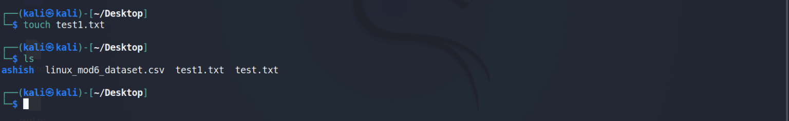 Top 20 Kali Linux Basic Commands (Updated)