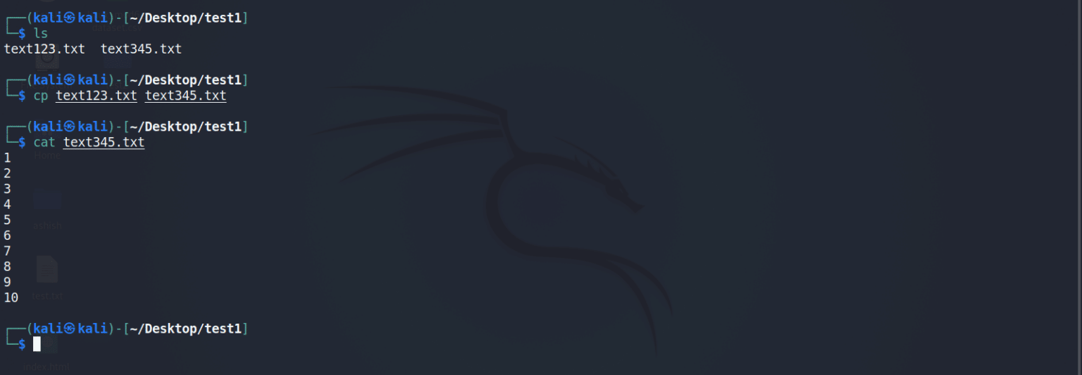 Top 20 Kali Linux Basic Commands (Updated)