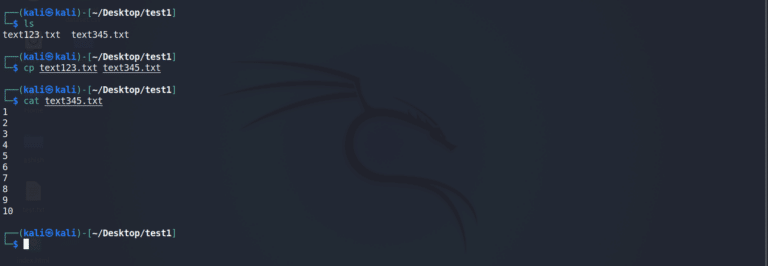 Top 20 Kali Linux Basic Commands (Updated)