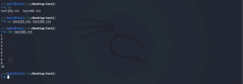 Top 20 Kali Linux Basic Commands (Updated)