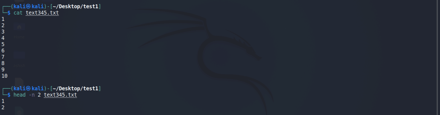 Top 20 Kali Linux Basic Commands (Updated)