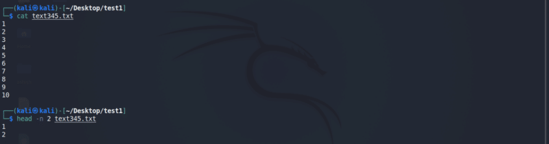 Top 20 Kali Linux Basic Commands (Updated)