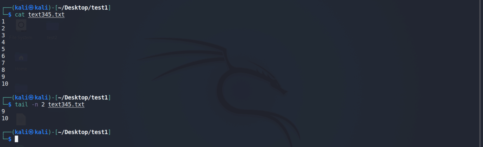 Top 20 Kali Linux Basic Commands (Updated)