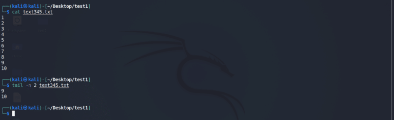 Top 20 Kali Linux Basic Commands (Updated)