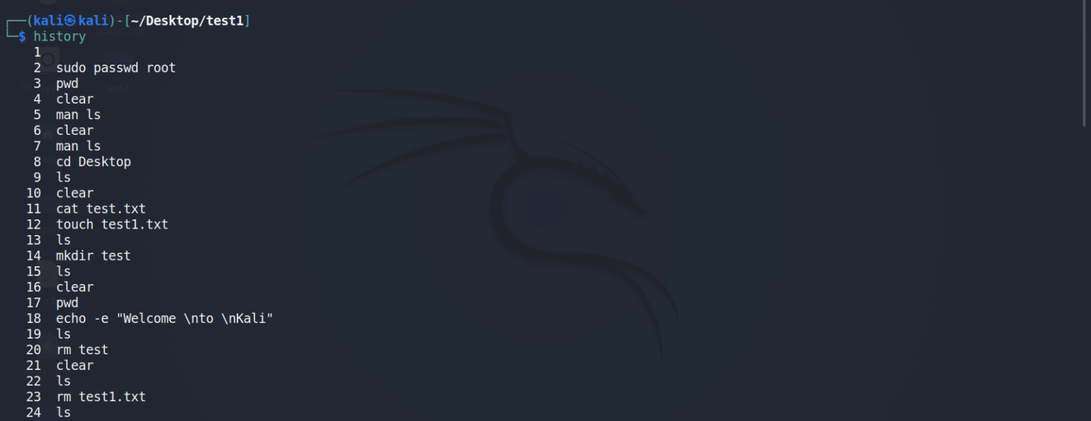 Top 20 Kali Linux Basic Commands (Updated)
