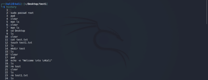 Top 20 Kali Linux Basic Commands (Updated)