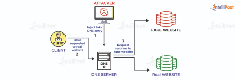 Difference Between Phishing and Pharming? (Easily Explained)