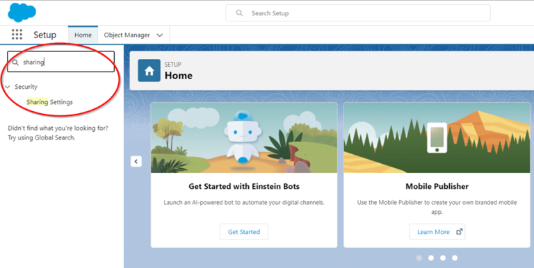 Sharing Rules in Salesforce and Its Types | Intellipaat