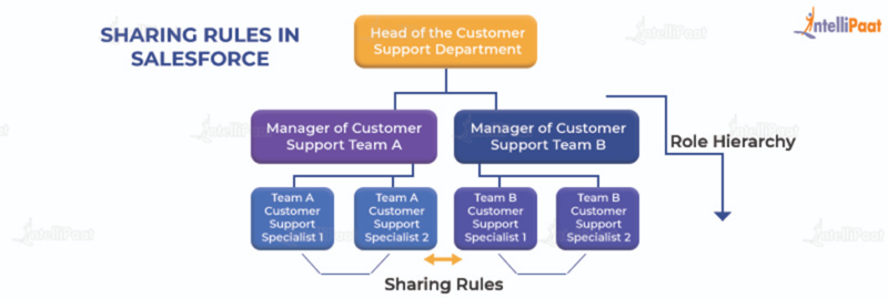 Sharing Rules in Salesforce and Its Types | Intellipaat