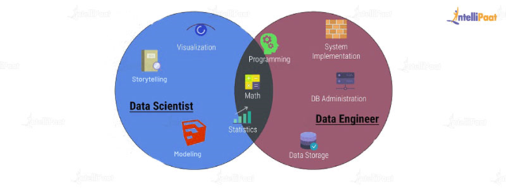 Data Engineer vs Data Scientist - What's the Difference?