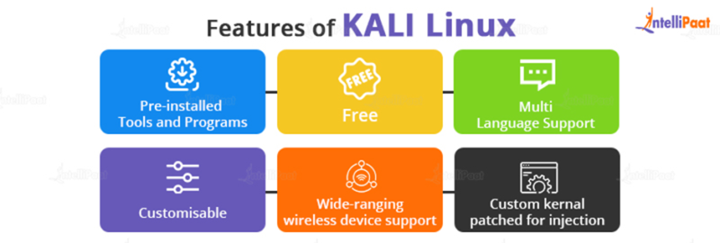 How to Install Kali Linux? Installation Steps and Configuration