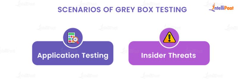 Grey Box Testing | Techniques, Examples, and more | Intellipaat