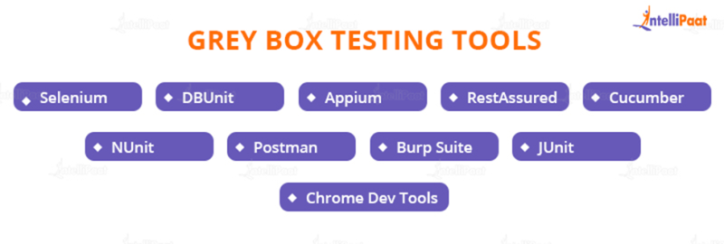 Grey Box Testing | Techniques, Examples, and more | Intellipaat