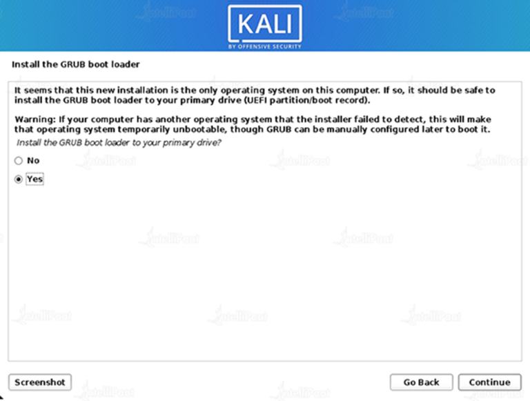 How to Install Kali Linux? Installation Steps and Configuration