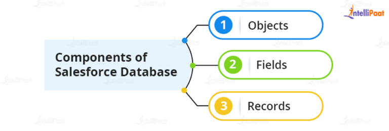The Salesforce Database Explained - Intellipaat