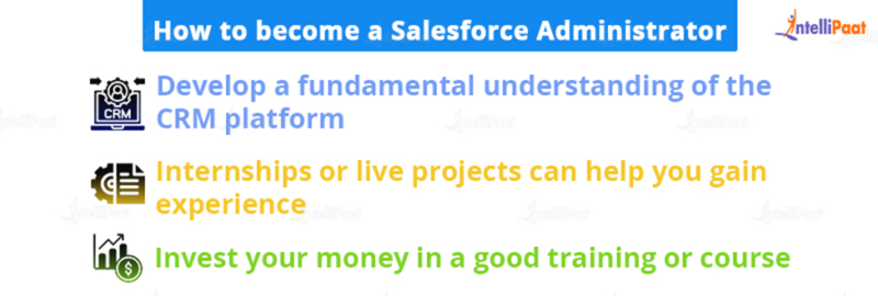 What is a Salesforce Administrator? - Job Role and Salary