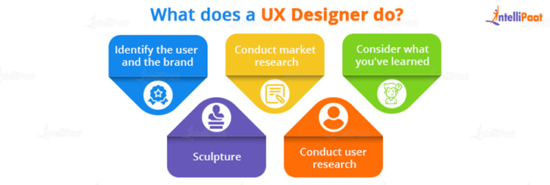 What Does a UX Designer Do? Roles and Responsibilities