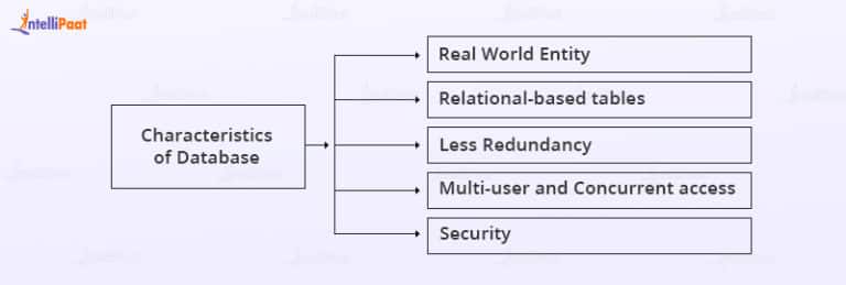 Difference Between Data Warehouse and Database - Intellipaat