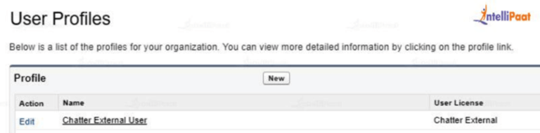 Different Salesforce Roles and Profiles - Explained