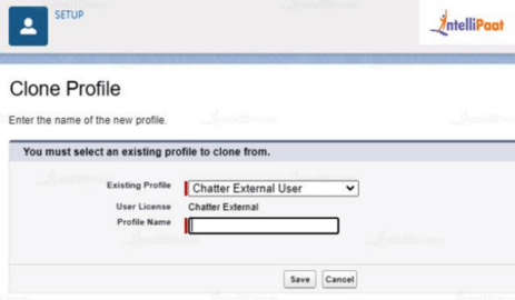 Different Salesforce Roles and Profiles - Explained