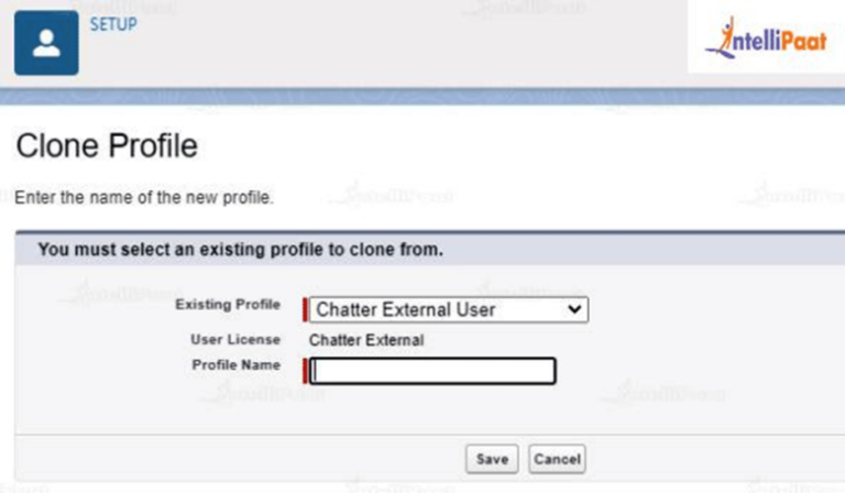 Different Salesforce Roles and Profiles - Explained