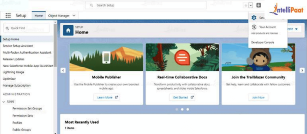 Different Salesforce Roles and Profiles - Explained