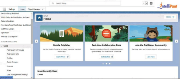 Different Salesforce Roles and Profiles - Explained