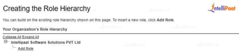 Different Salesforce Roles and Profiles - Explained