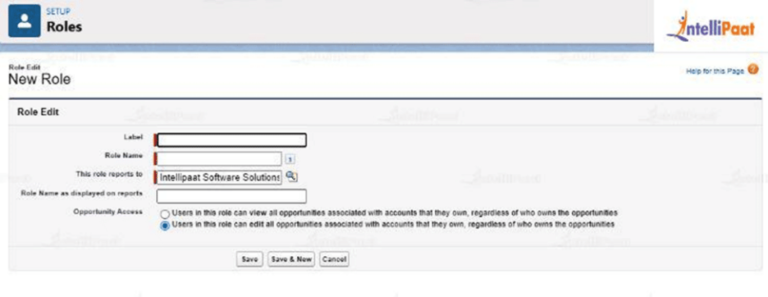 Different Salesforce Roles and Profiles - Explained