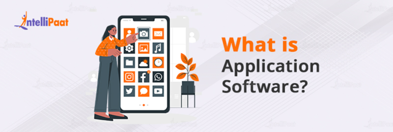 What is Application Software? (With Examples and Types) | Intellipaat
