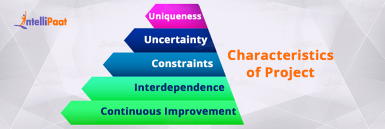 What is a Project? Meaning, Features, Types, and Examples