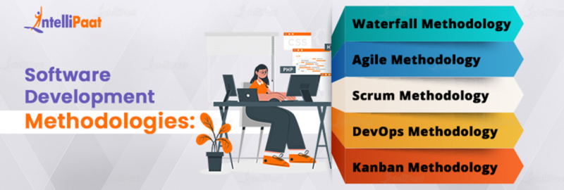 What is Software Development? Process, Types and Methodologies ...