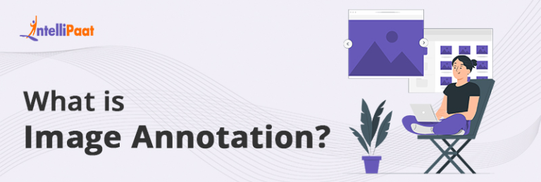 What Is Image Annotation? | Intellipaat